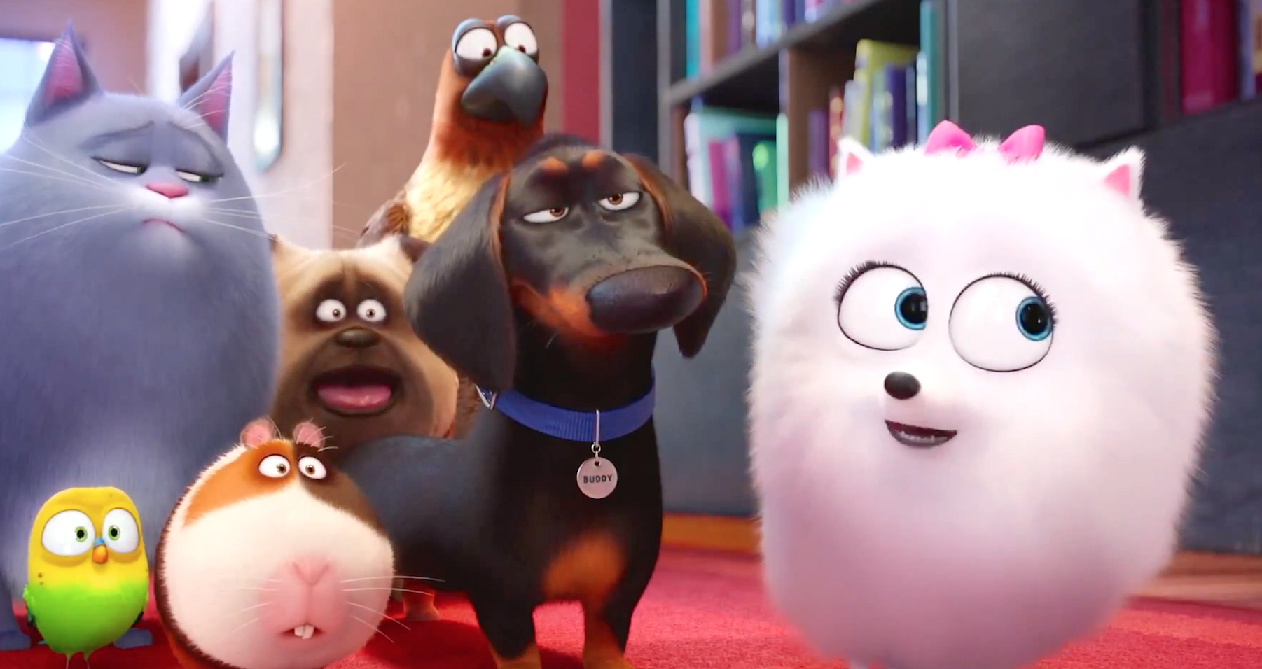 THE SECRET LIFE OF PETS (2016): Fun, Funny, Cute… | The Movie My Life